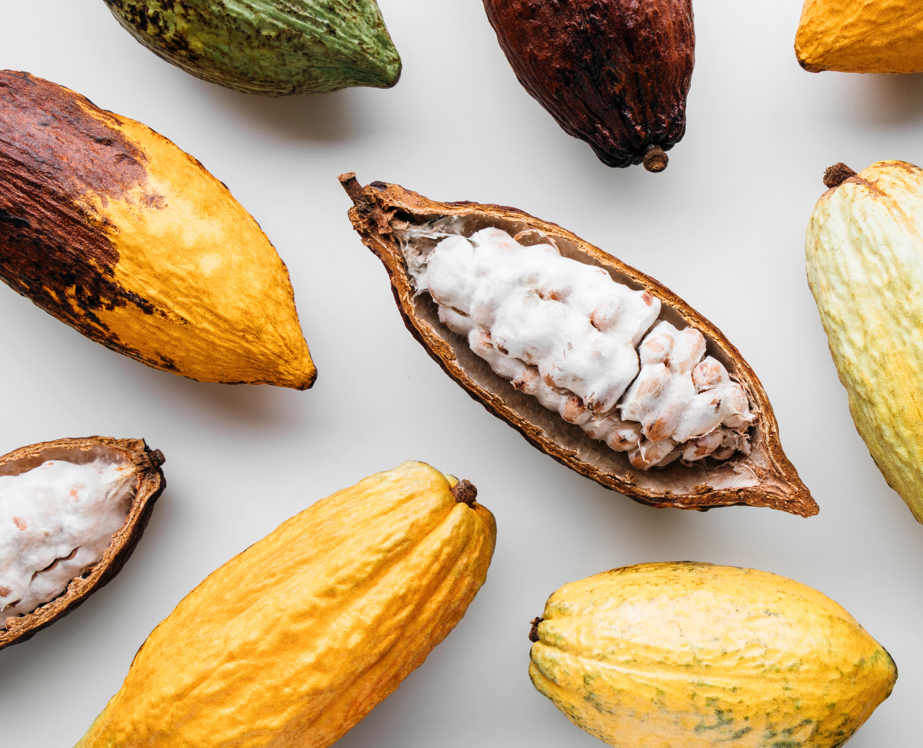 What Is Cacao? A Delicious Superfood with Powerful Benefits – juspyoriginal